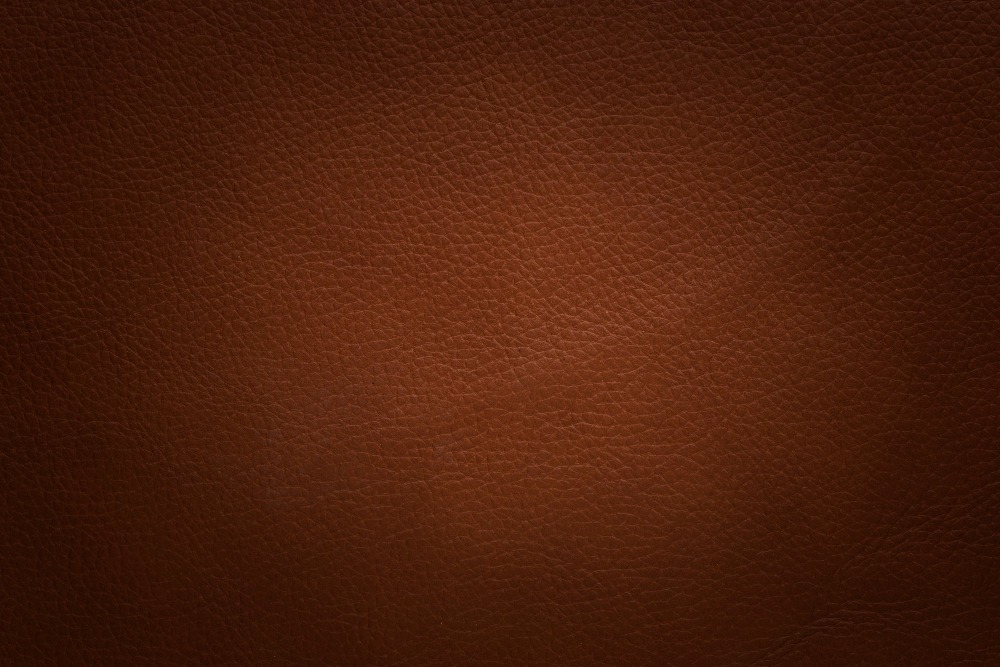 【CONSEJOS PARA COMPRAR CUERO 】 - Curtidos Menacho